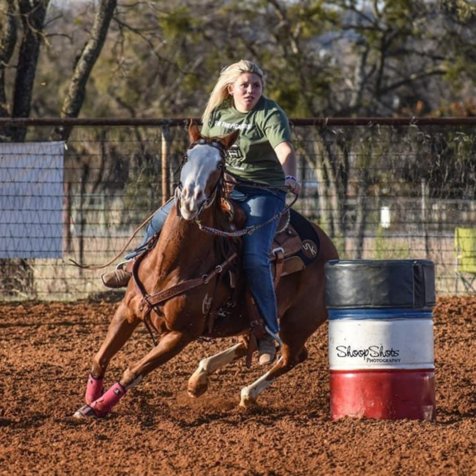 Best Veterinary Clinic In Decatur, Decatur, Texas 76234 | Decatur ...