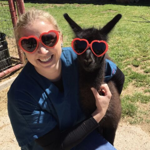 Decatur Veterinary Clinic