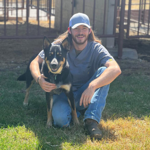 Best Veterinary Clinic In Decatur, Decatur, Texas 76234 | Decatur ...